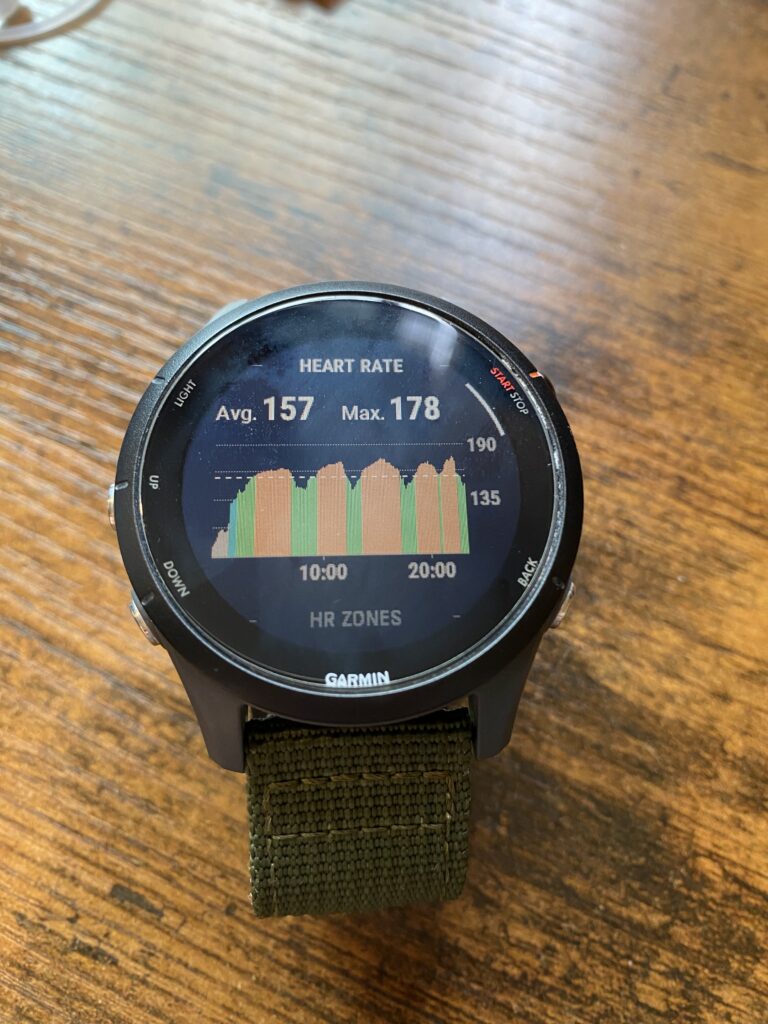 Garmin Forerunner 255: my review after wearing it for a few months ...